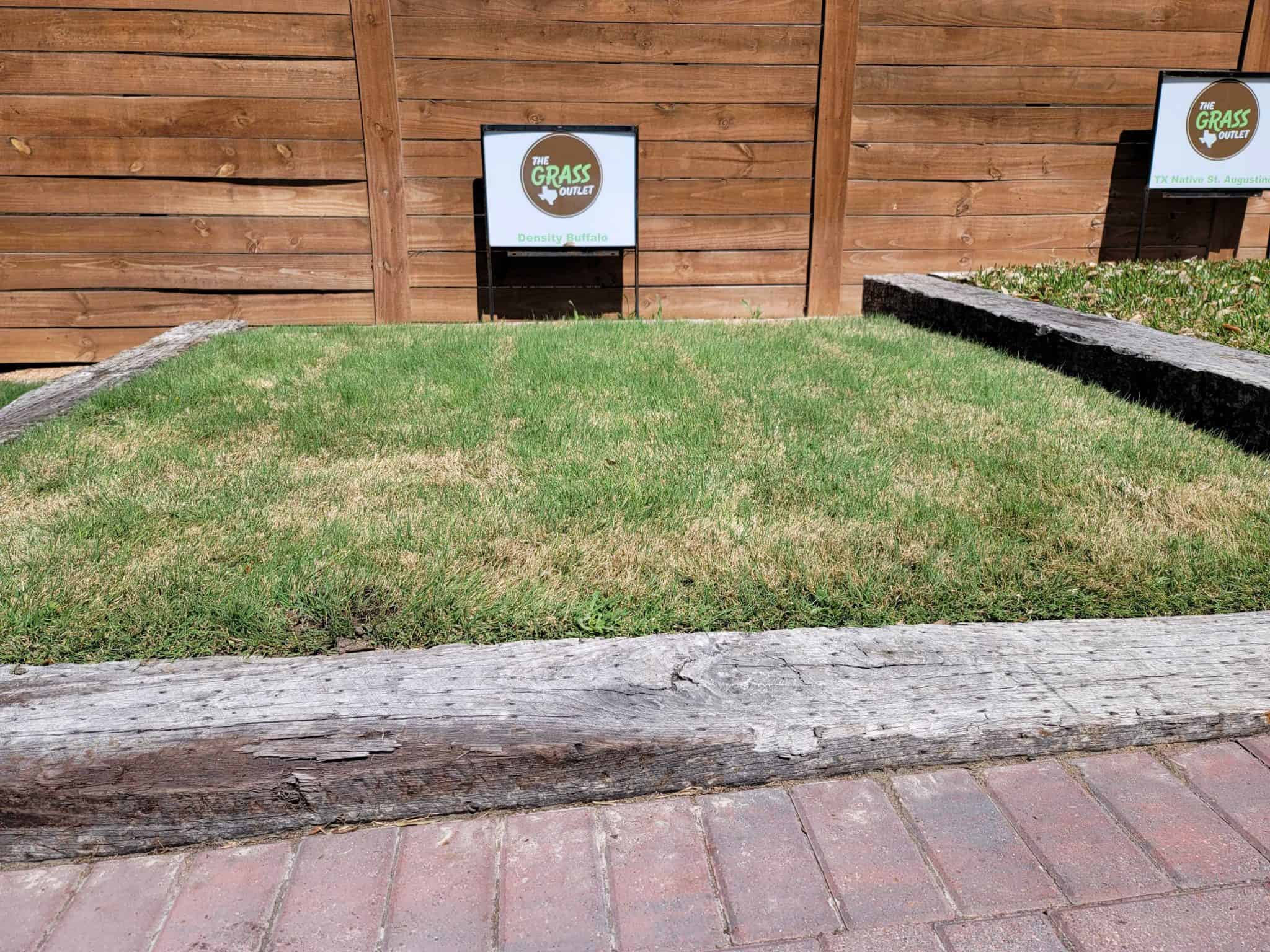 The Grass Outlet Sod Grass For Austin Dallas Houston San Antonio