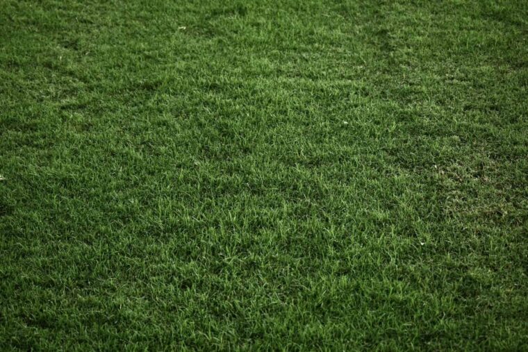 The Grass Outlet | Sod Grass for Austin, Dallas, Houston, San Antonio