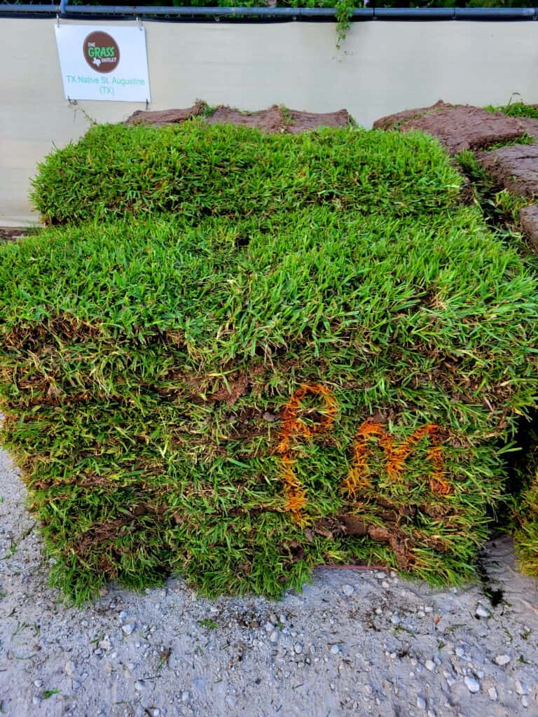 The Grass Outlet | Sod Grass for Austin, Dallas, Houston, San Antonio