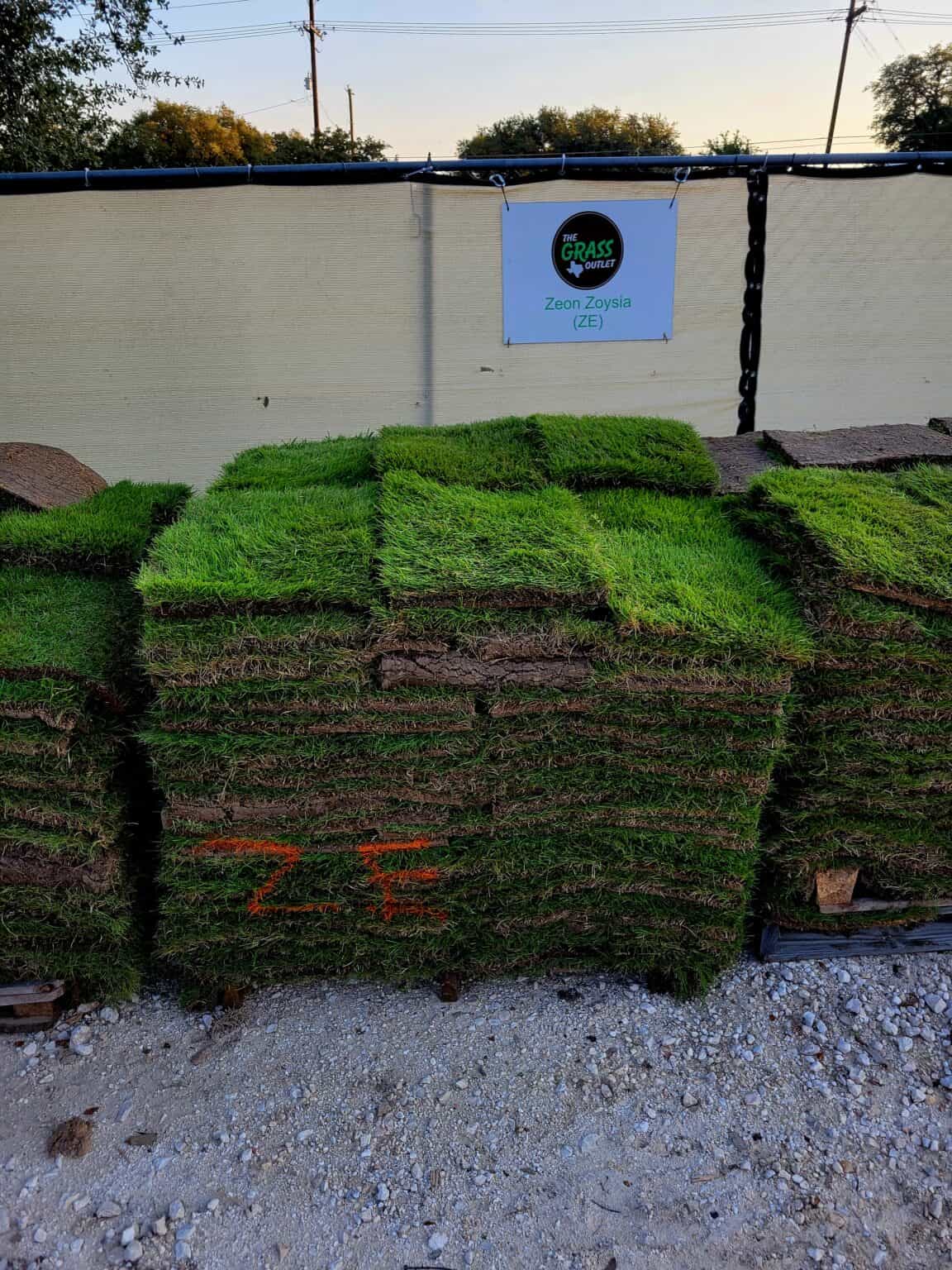 The Grass Outlet Sod Grass For Austin Dallas Houston San Antonio