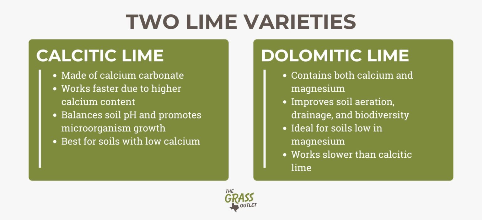 What Does Lime Do for Your Grass, How & When to Apply It