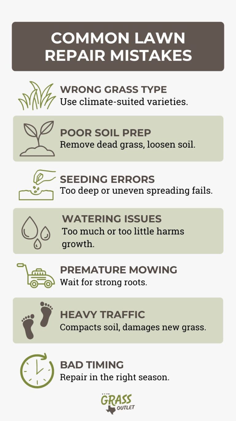 How to Fix Patchy Grass: A Step-by-Step Lawn Repair Guide