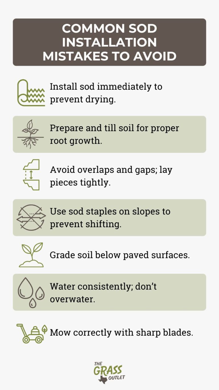 How to Lay Sod: A Step-by-Step Guide for a Beautiful Lawn | The Grass ...