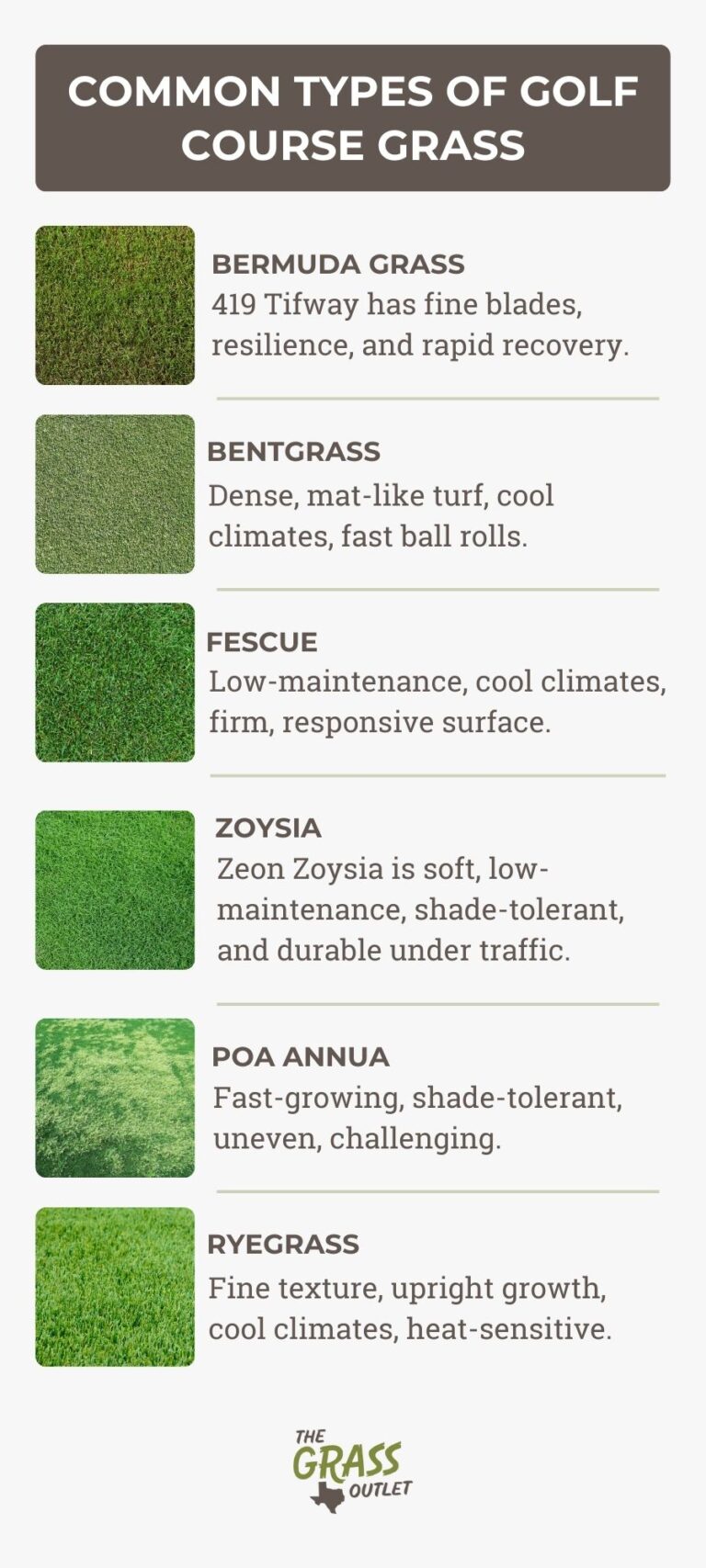 Types Of Grass Used On Golf Courses | The Grass Outlet