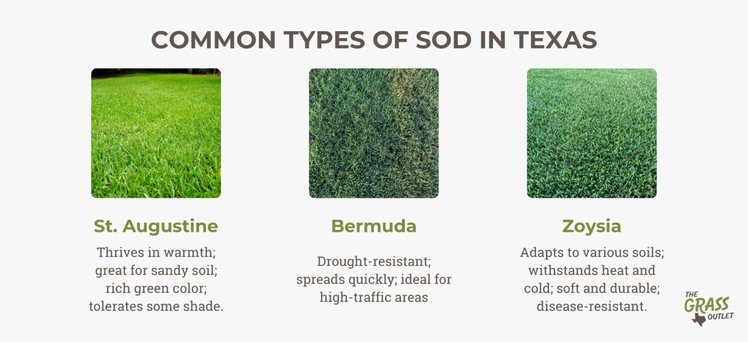 What is Sod Landscaping? | The Grass Outlet