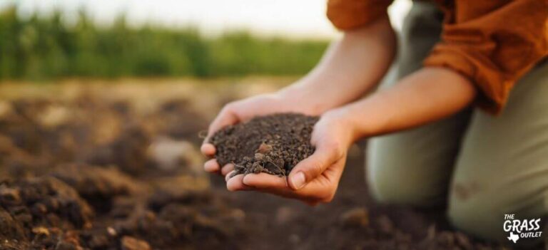 New Sod Care Timeline - When & How To Water, Mow And Fertilize