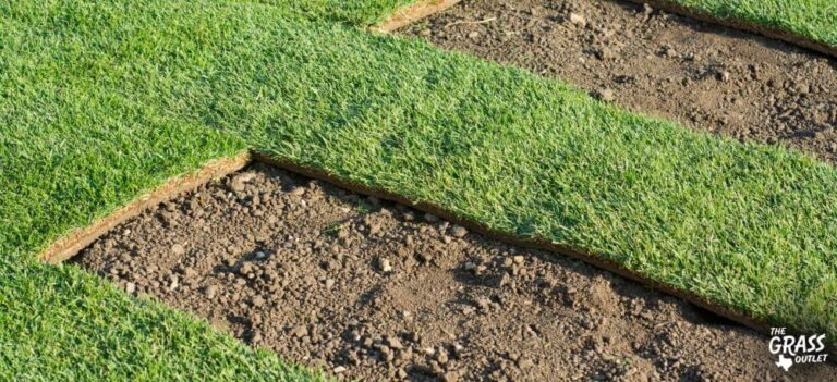 How to Cut Sod - Guide and Tips | The Grass Outlet