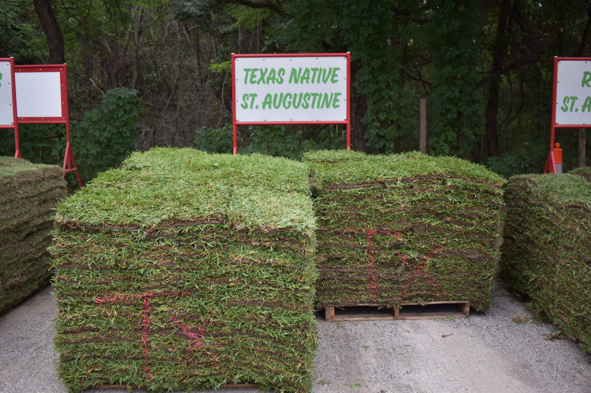 The Grass Outlet | Sod Grass for Austin, San Antonio