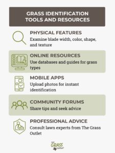 How to Identify Your Grass Type | The Grass Outlet | Texas