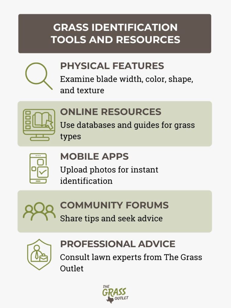 How to Identify Your Grass Type | The Grass Outlet | Texas