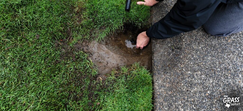 How to Fix Patchy Grass: A Step-by-Step Lawn Repair Guide