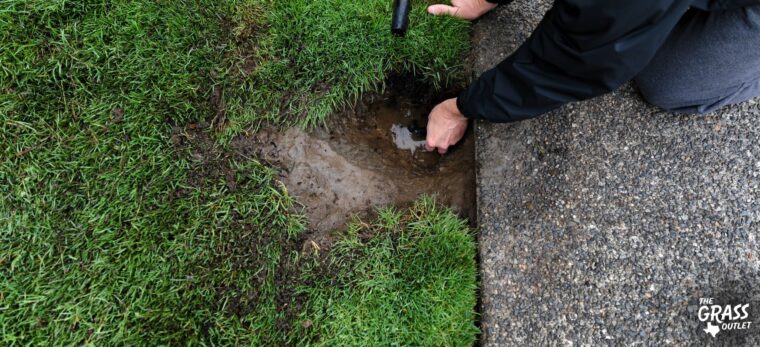 How to Fix Patchy Grass: A Step-by-Step Lawn Repair Guide