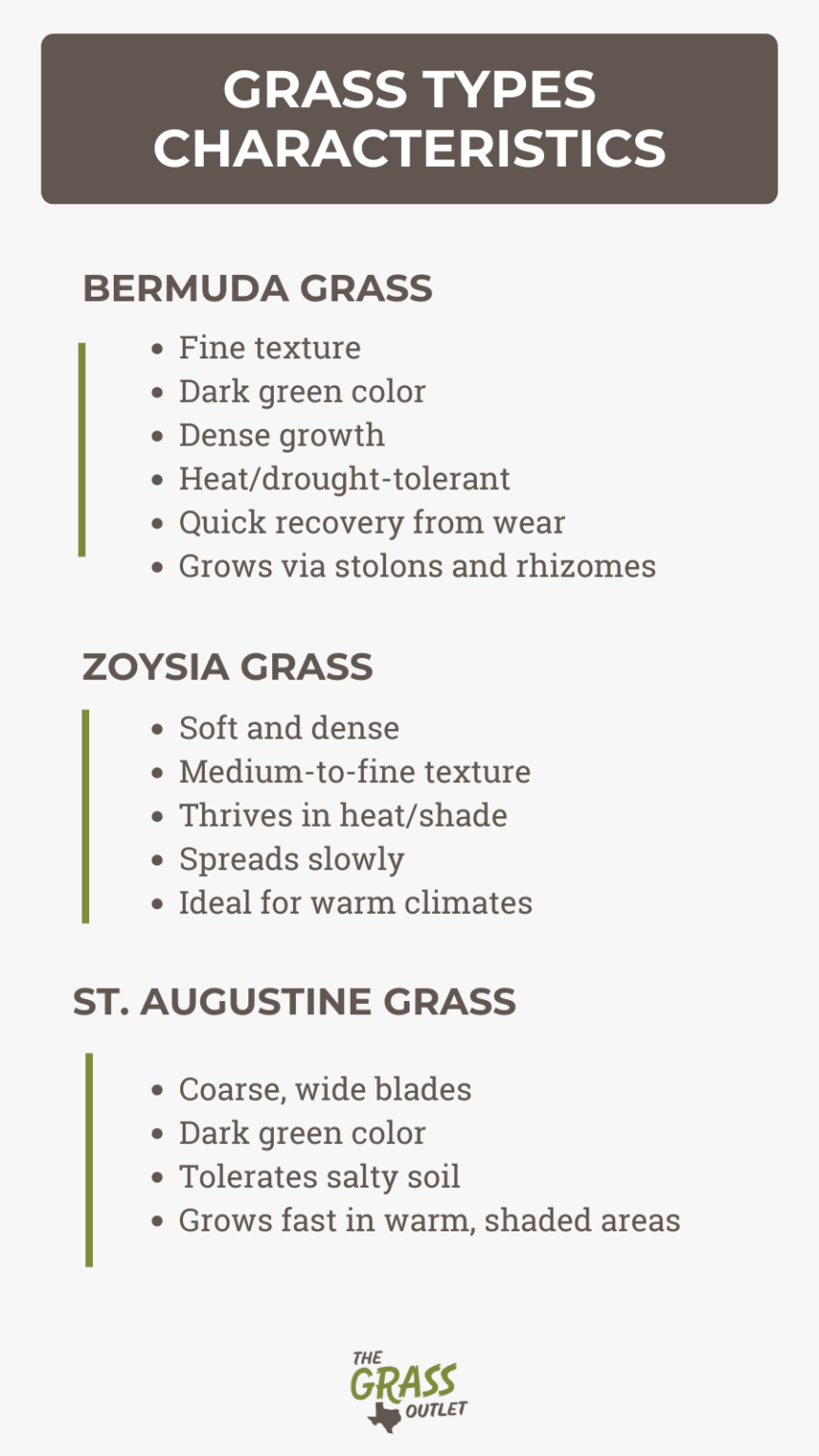 How to Identify Your Grass Type | The Grass Outlet | Texas
