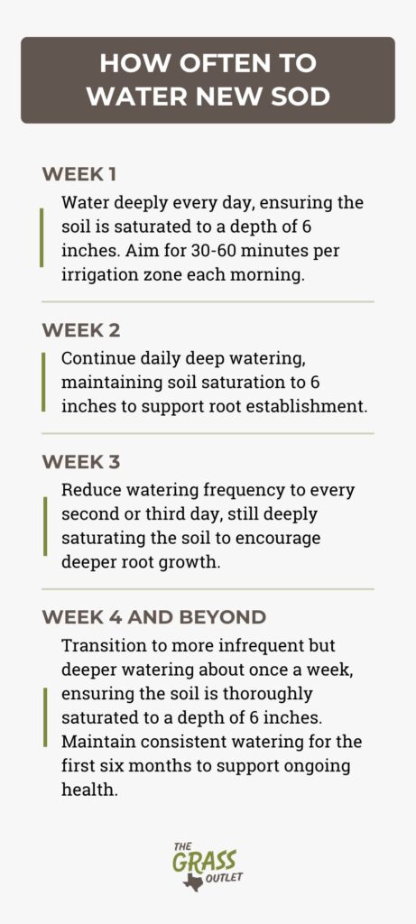 How Often to Water New Sod | The Grass Outlet