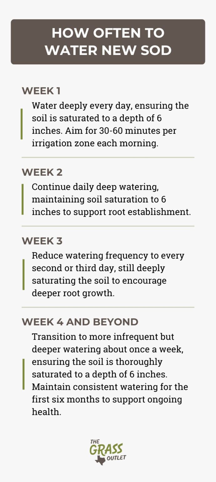 How Often to Water New Sod | The Grass Outlet