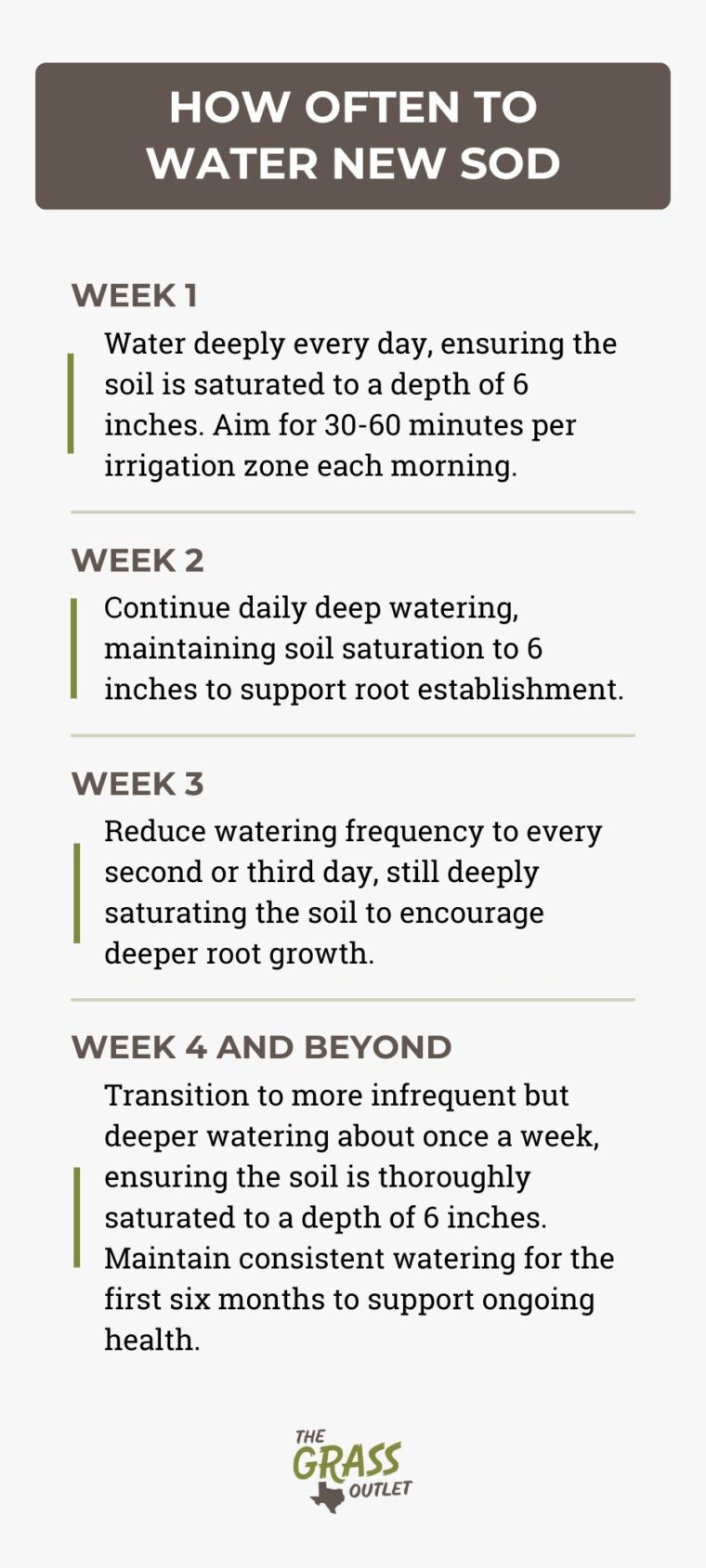 How Often to Water New Sod | The Grass Outlet