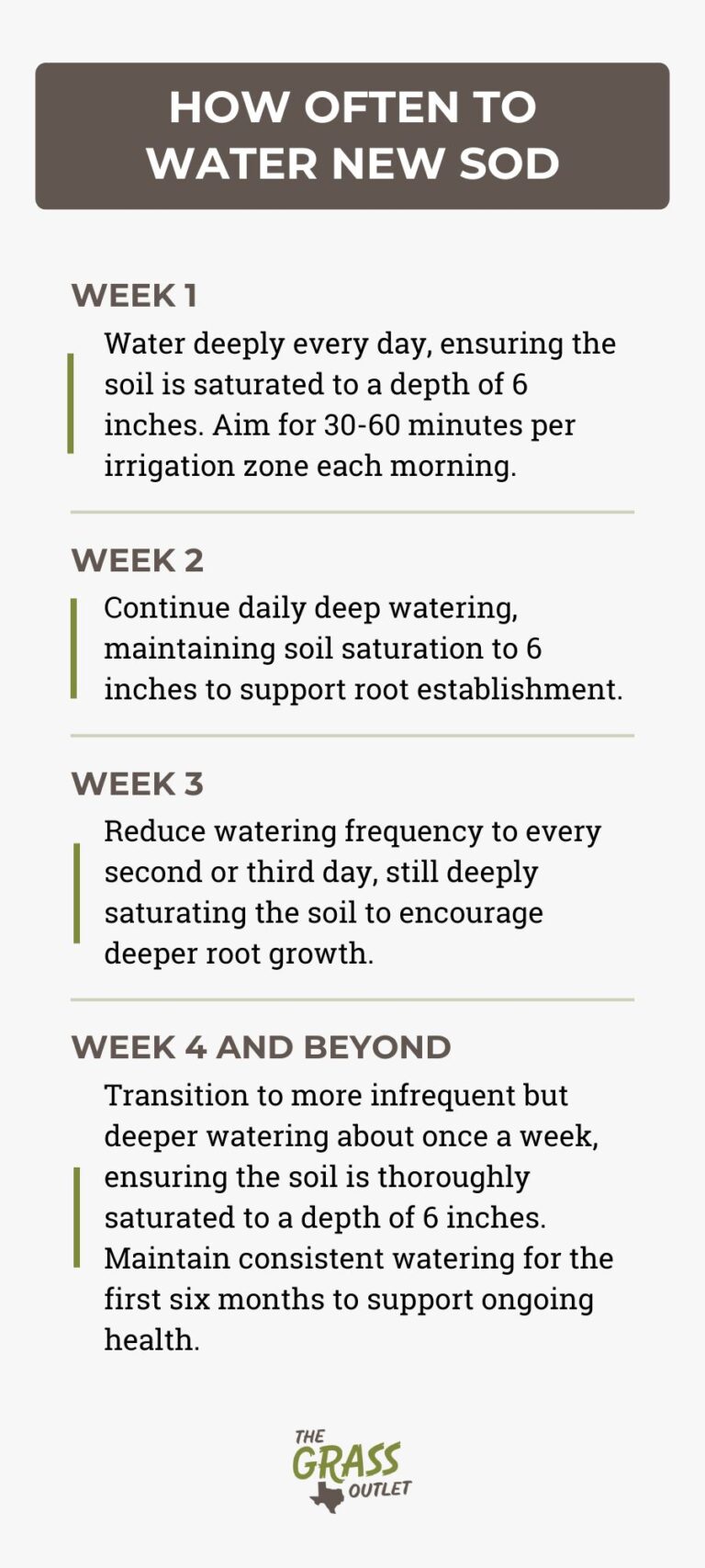 How Often to Water New Sod | The Grass Outlet