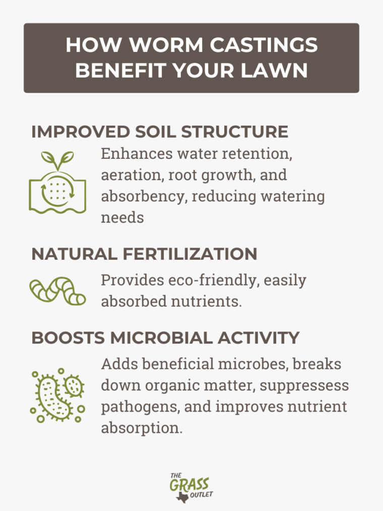 The Benefits of Worm Castings in Your Lawn