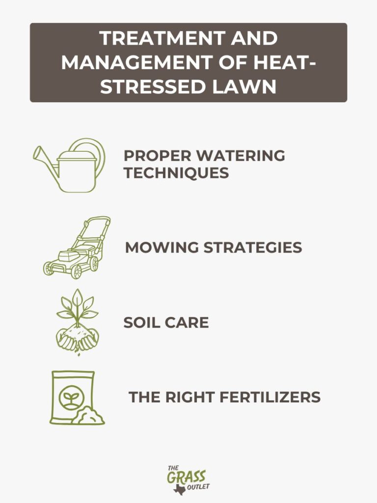 Heat Stressed Lawn: Symptoms, Causes & Treatment Solutions