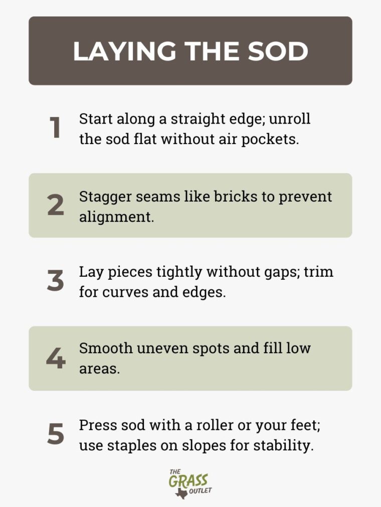 How to Lay Sod: A Step-by-Step Guide for a Beautiful Lawn | The Grass ...
