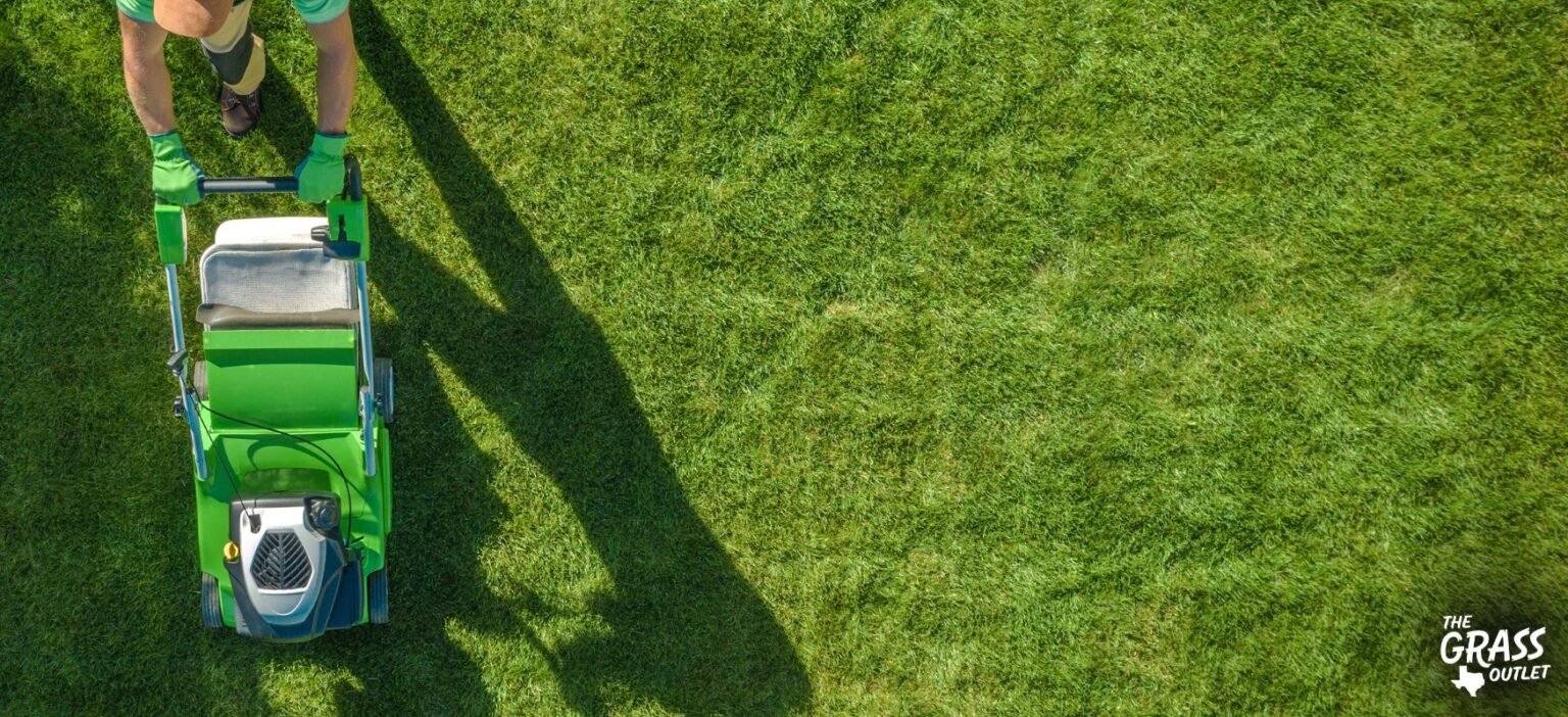 New Sod Care Timeline - When & How To Water, Mow And Fertilize