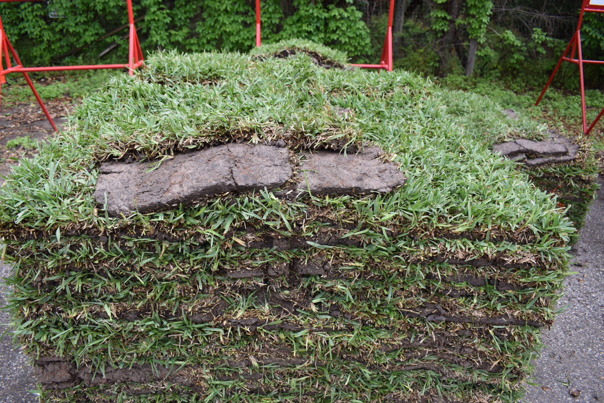 The Grass Outlet | Sod Grass for Austin, San Antonio