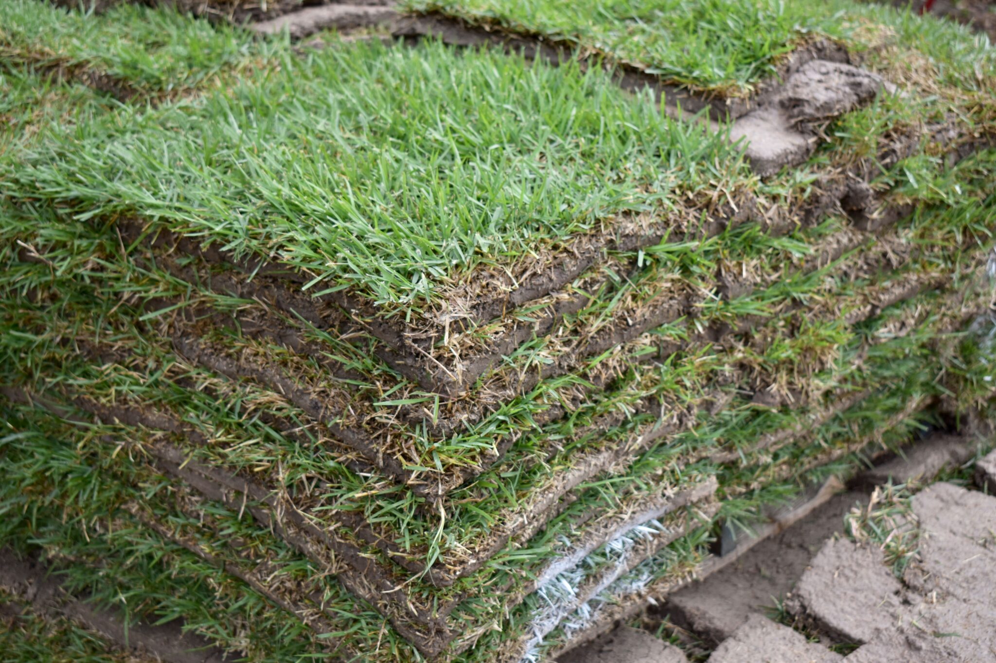 The Grass Outlet | Sod Grass for Austin, San Antonio