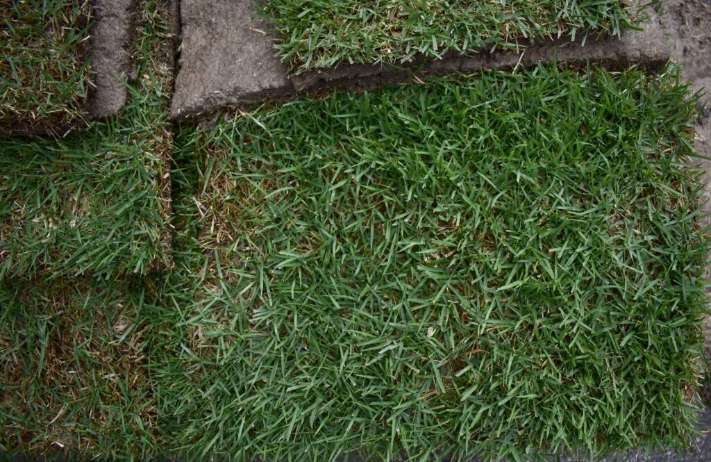 The Grass Outlet | Sod Grass for Austin, San Antonio
