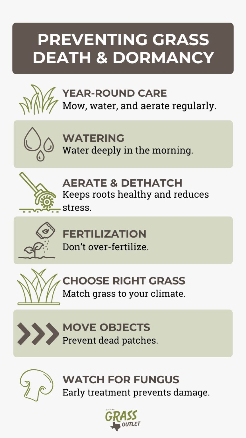Dormant Grass vs. Dead Grass: How to Tell the Difference