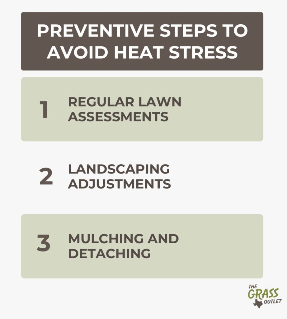 Heat Stressed Lawn: Symptoms, Causes & Treatment Solutions