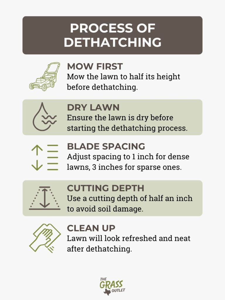 What Is Dethatching, And Why Does Your Lawn Need It? | The Grass Outlet