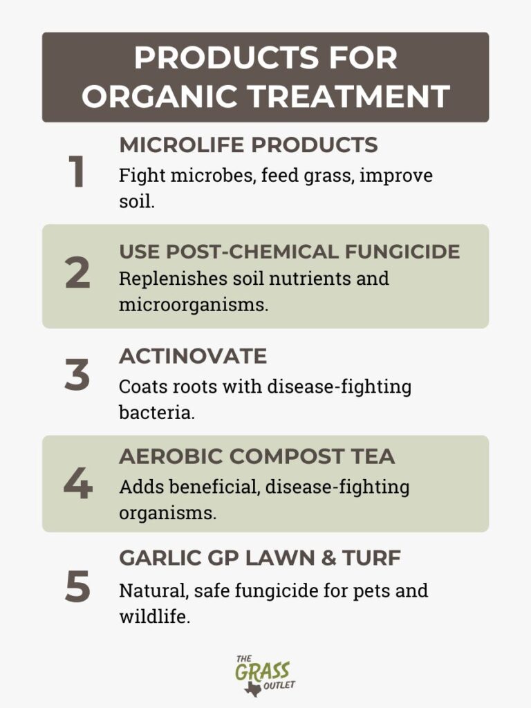 Identifying & Preventing Diseases On Lawn | The Grass Outlet