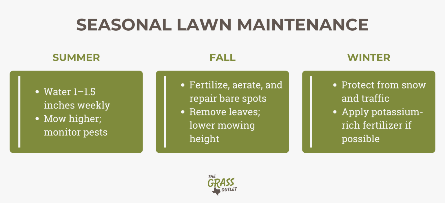 Essential Spring Lawn Care Guide | The Grass Outlet