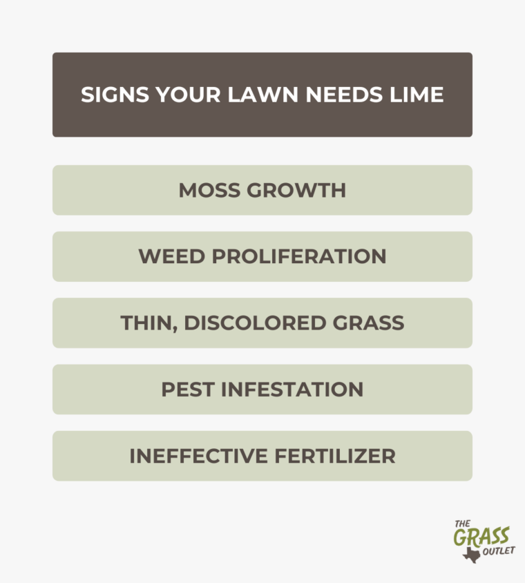 What Does Lime Do for Your Grass, How & When to Apply It