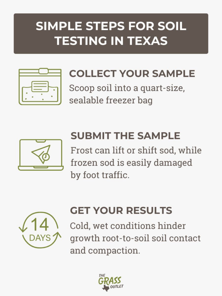 The Pros and Cons of Sod vs. Seed: Which is Best for Your Yard? | The ...