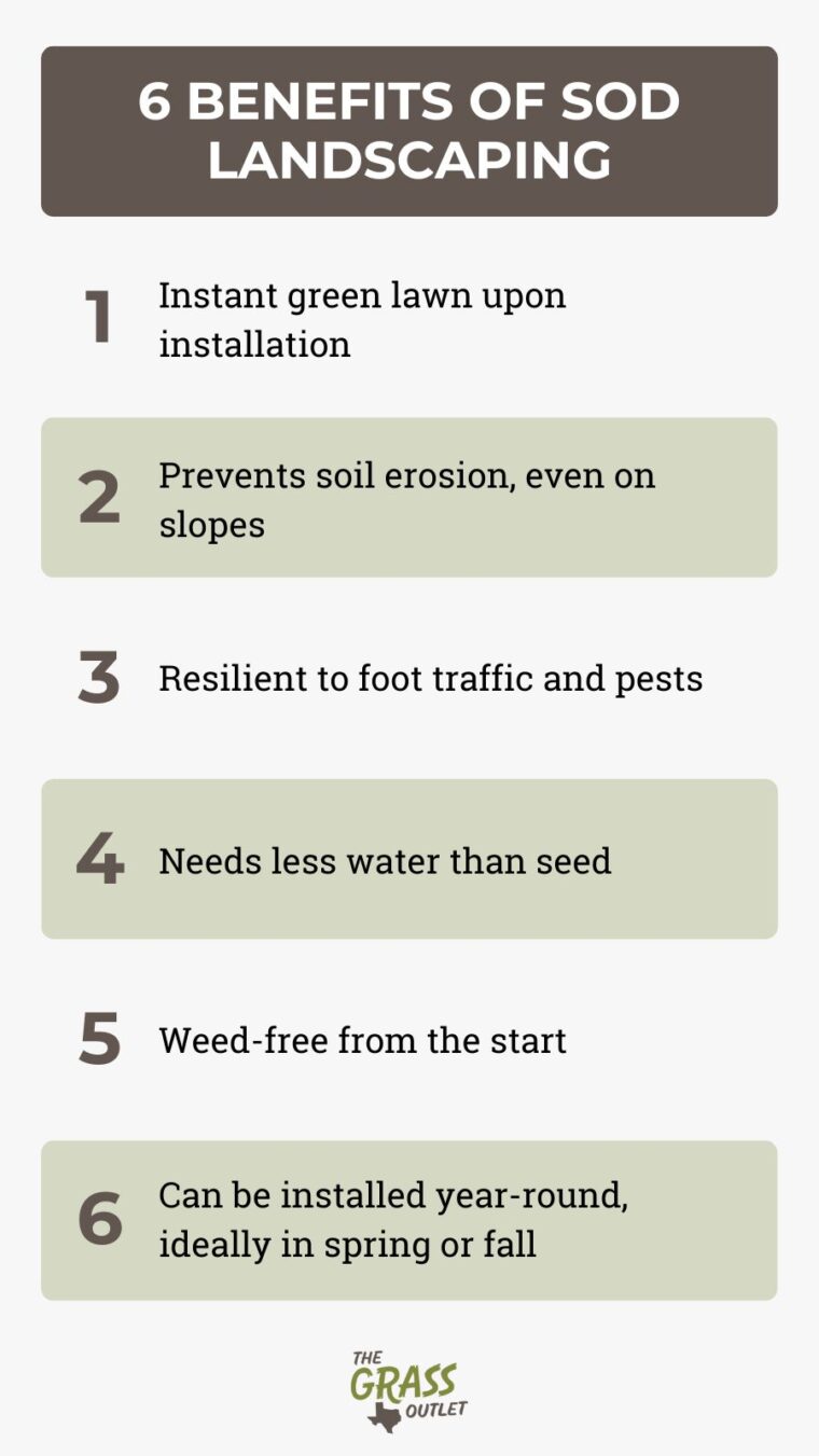 What is Sod Landscaping? | The Grass Outlet