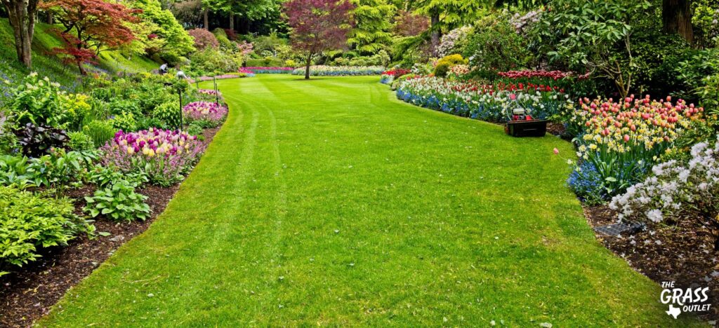 Essential Spring Lawn Care Guide | The Grass Outlet