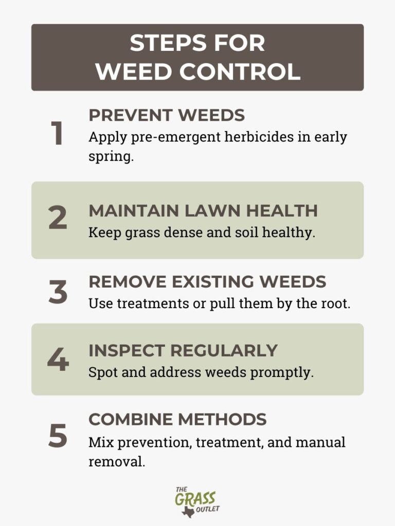 Essential Spring Lawn Care Guide | The Grass Outlet