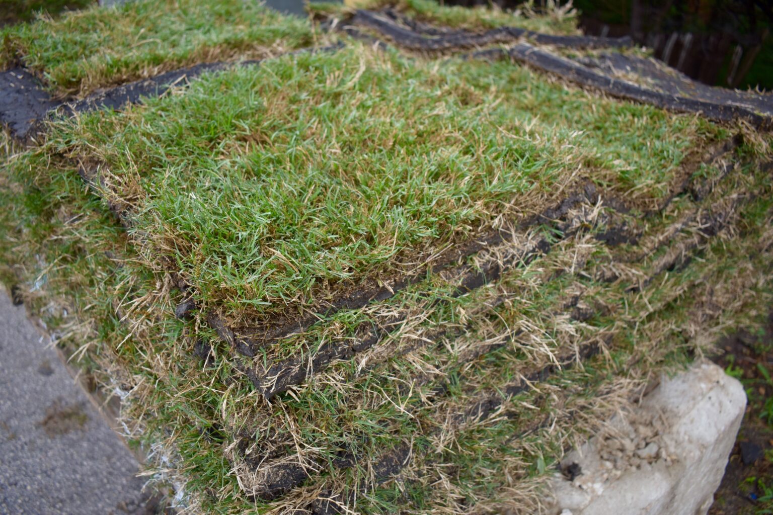 The Grass Outlet | Sod Grass for Austin, San Antonio