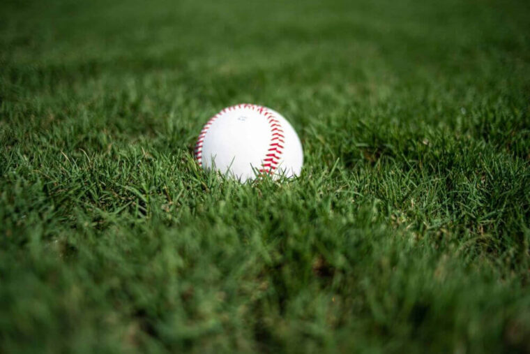 419 Tifway Bermuda Grass Sod - Farm to Home Delivery | The Grass Outlet