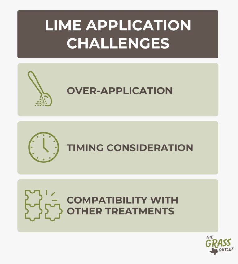 What Does Lime Do for Your Grass, How & When to Apply It