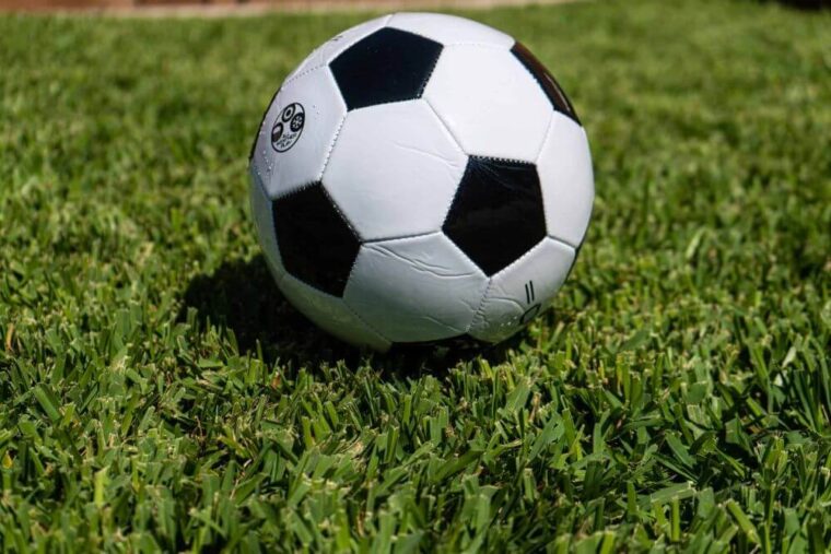 Texas Native St. Augustine - The Grass Outlet