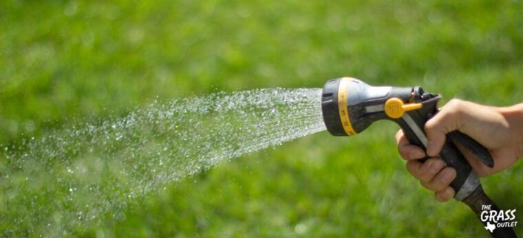 New Sod Care Timeline - When & How To Water, Mow And Fertilize