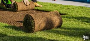 What is Sod Landscaping? | The Grass Outlet