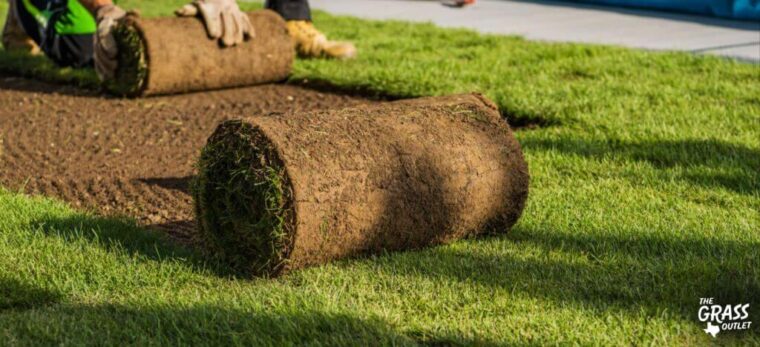What is Sod Landscaping? | The Grass Outlet