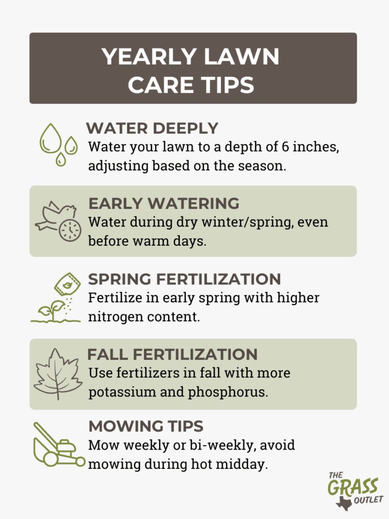 New Sod Care Timeline - When & How To Water, Mow And Fertilize