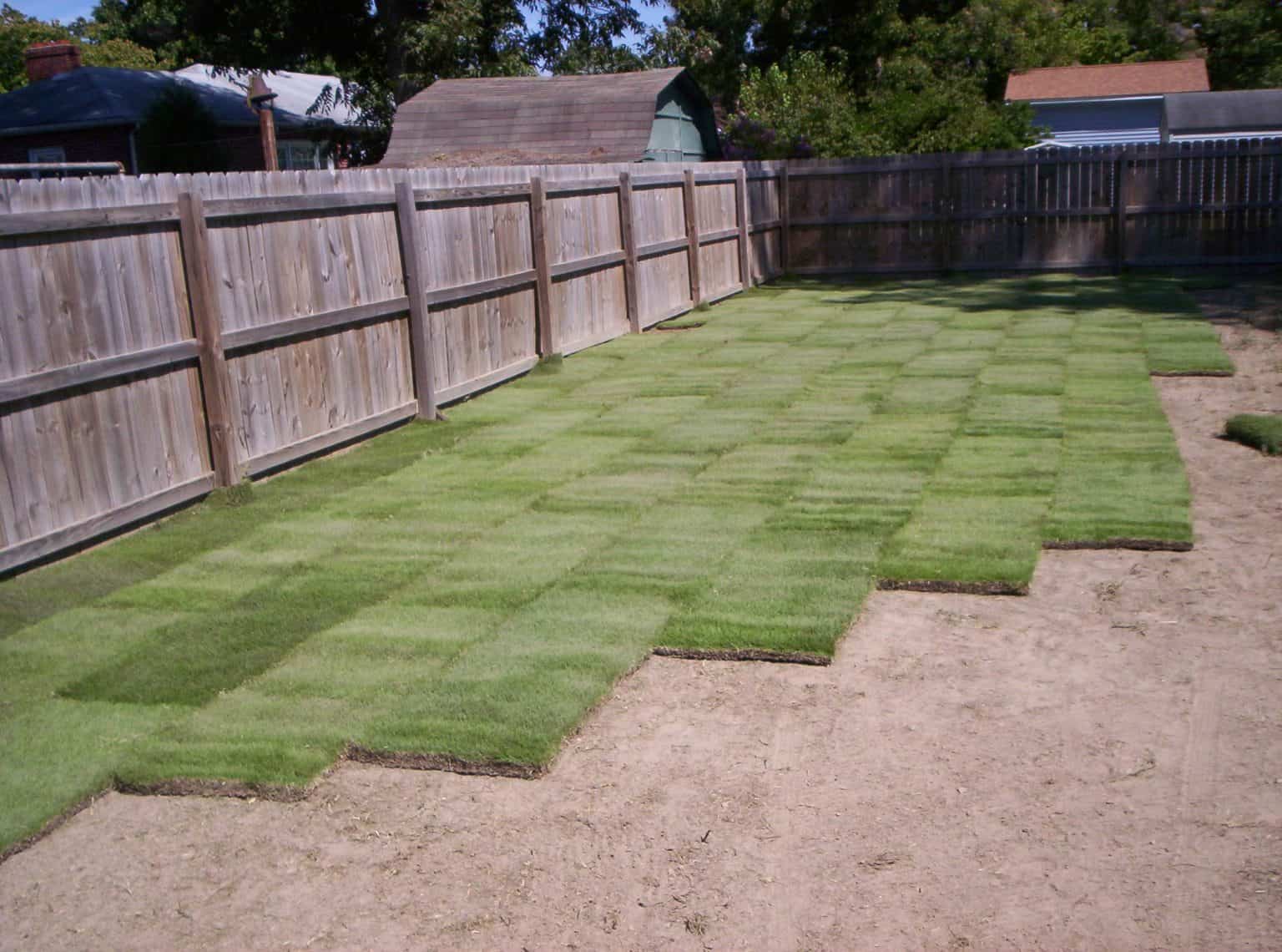 New Sod Care Timeline - When & How To Water, Mow And Fertilize