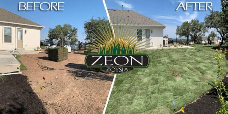 Zeon Zoysia Grass Sod: Soft, Cushion-Like Turf | The Grass Outlet