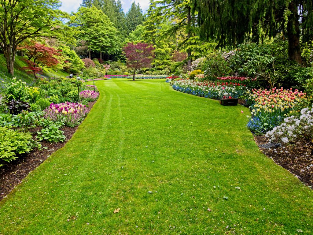 Spring Lawn Care Tips for a Lush, Healthy Yard